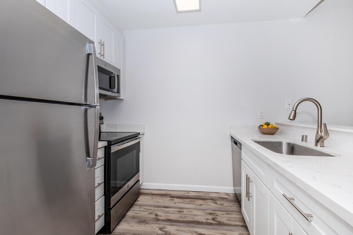 Paloma Vista - 1277 San Tomas Aquino Rd San Jose, CA 95117 | Apartments.com