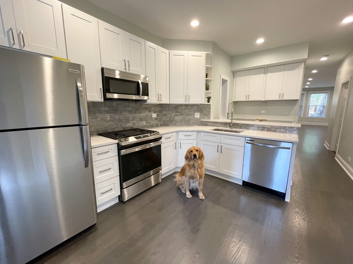 2437 W Rice St Unit 1, Chicago, IL 60622 - 2437 W Rice St Chicago, IL ...