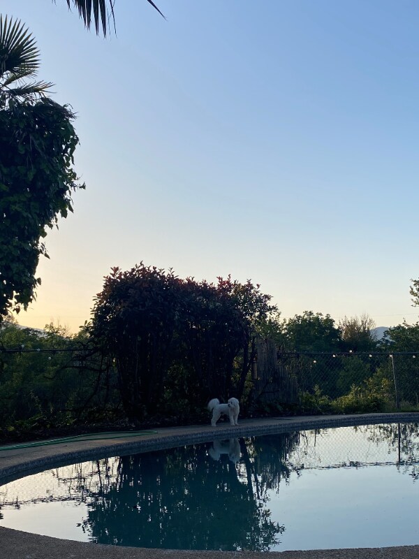 2550 Sandra Ct, Redding, CA 96001 | Apartments.com