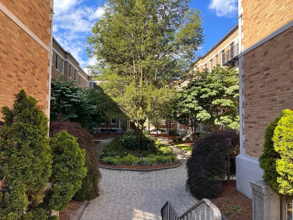 854 Massachusetts Ave Unit 4, Cambridge, MA 02139 - Room for Rent in ...