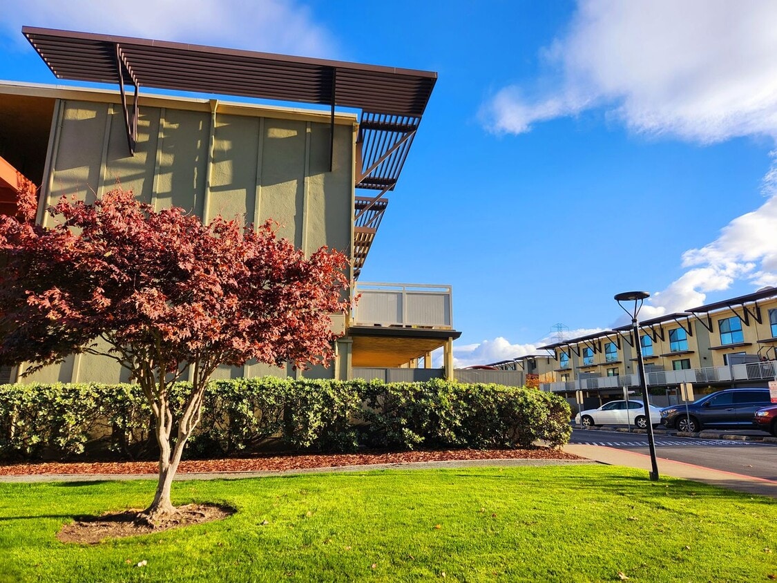 4202 Admiralty Ln, Foster City, CA 94404 - Condo for Rent in Foster ...