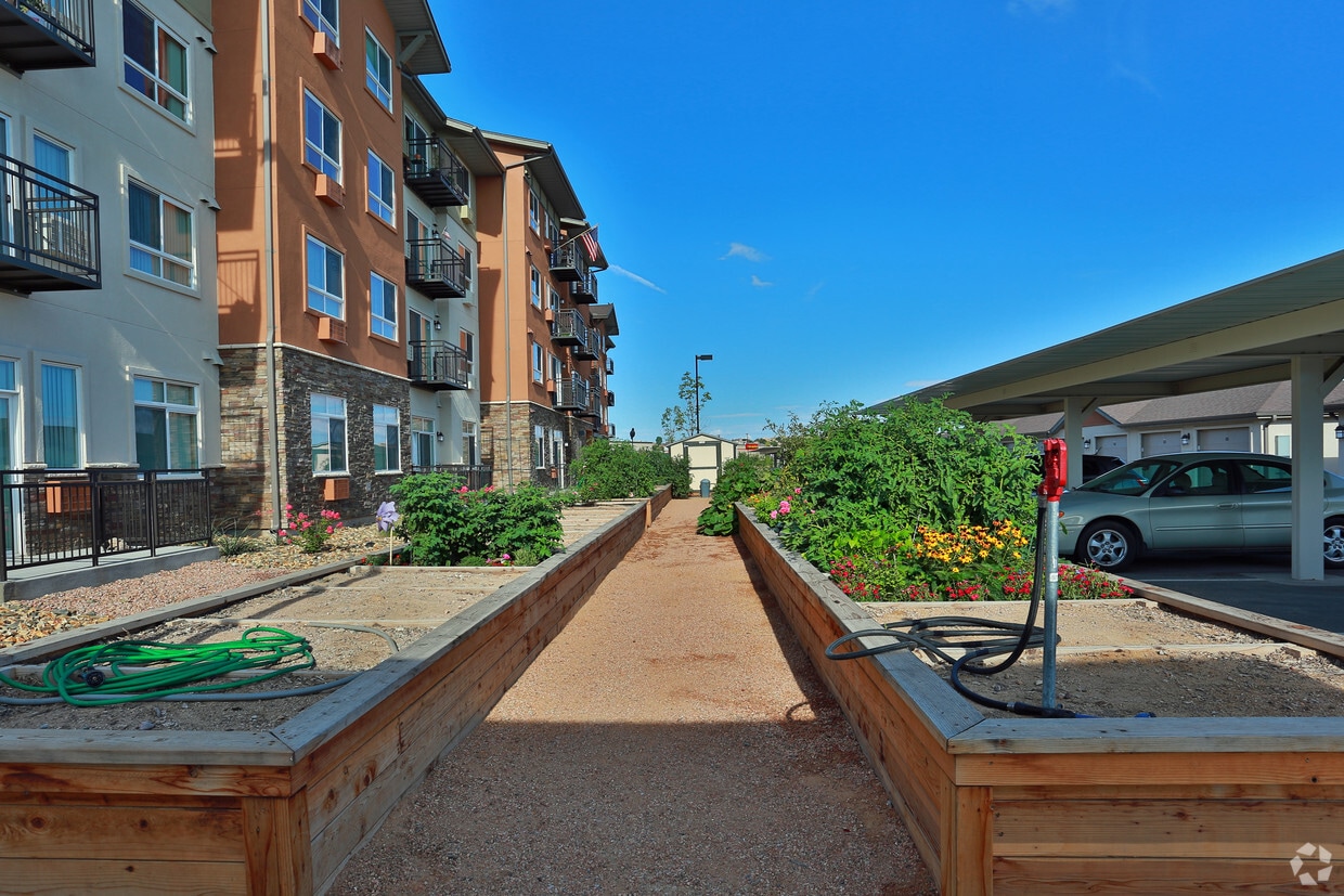 Affinity at Albuquerque 55+ - 10700 Fineland Dr Nw Albuquerque, NM ...
