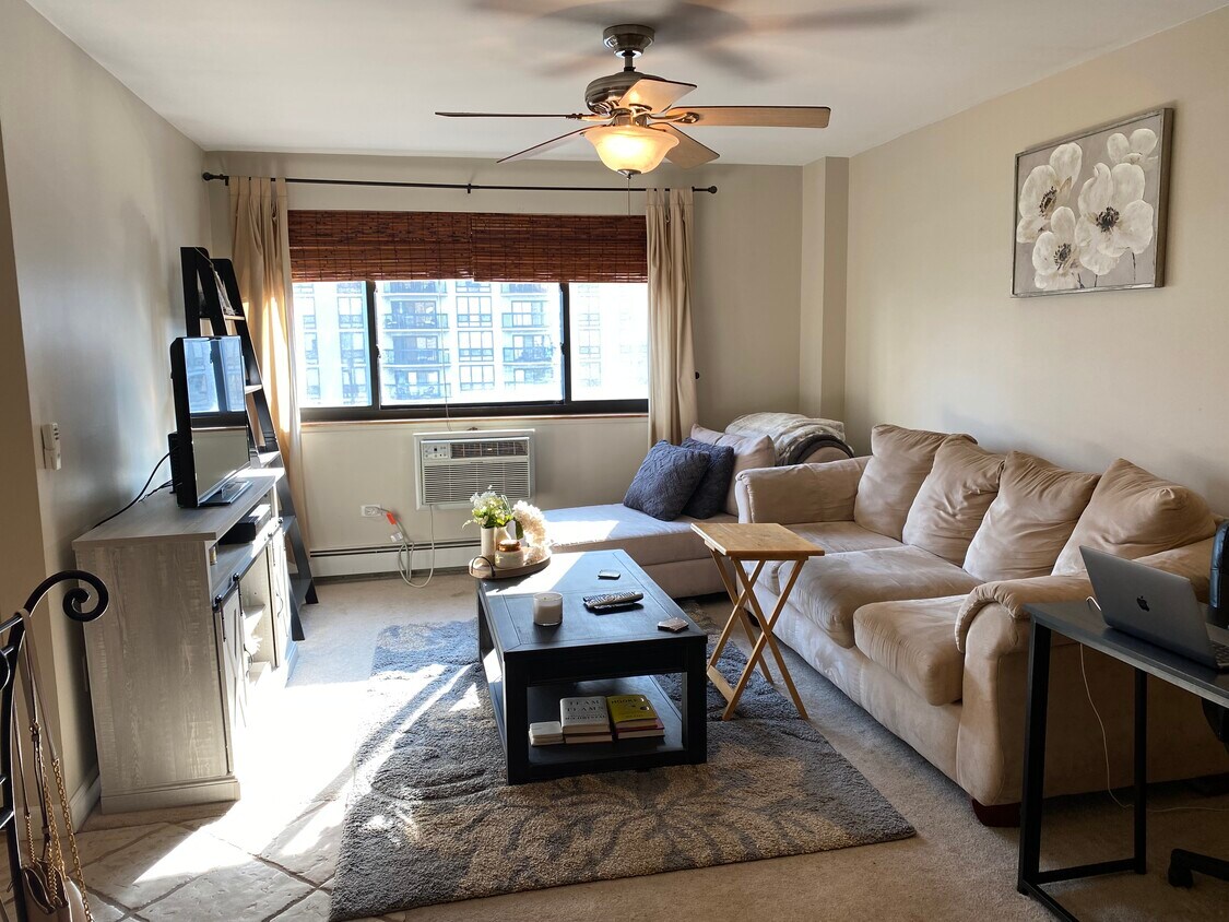 607 W Wrightwood Ave Unit 504, Chicago, IL 60614 - Condo for Rent in ...