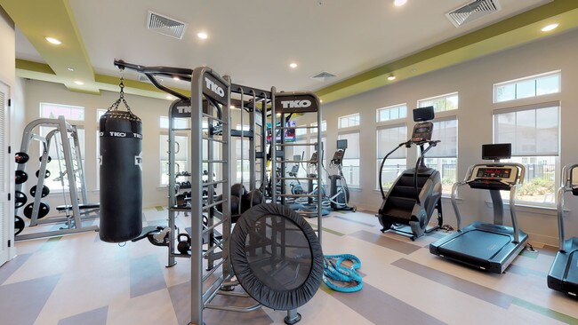 The Iris at Northpointe Apartments - Lutz, FL | Apartments.com