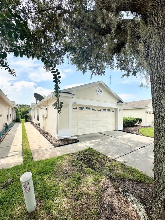 31046 Whitlock Dr, Wesley Chapel, FL 33543 - House Rental in Wesley ...