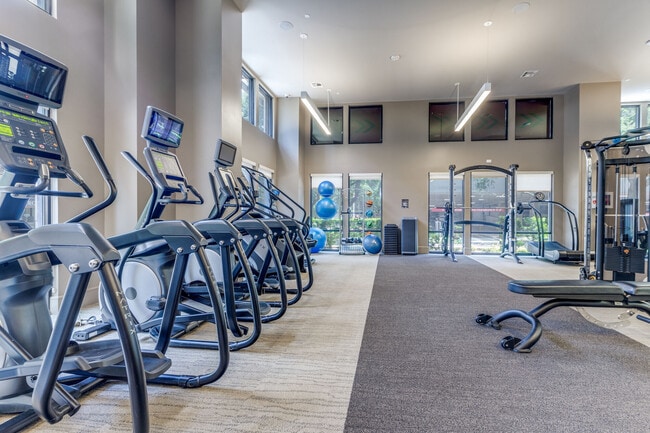 Alexan 5151 - Apartments in Houston, TX | Apartments.com