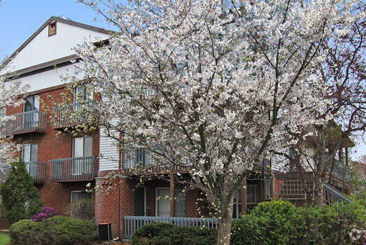 Apartments for Rent with Utilities Included in Edison Manor, Edison ...