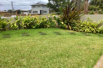 Kaimuki Apartments for Rent - Honolulu, HI - 19 Rentals | Apartments.com