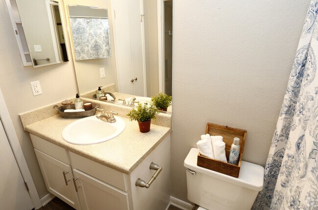 Autumn Ridge Apartments - Raleigh, NC | Apartments.com