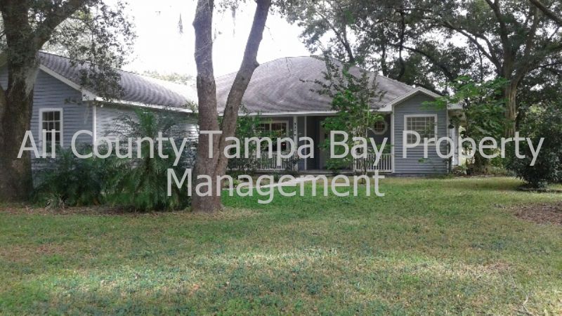 3326 Sam Allen Oaks Cir, Plant City, FL 33565 - House Rental in Plant ...