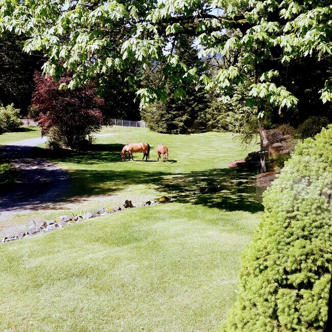 15894 451st Ave SE, North Bend, WA 98045 - House Rental in North Bend ...