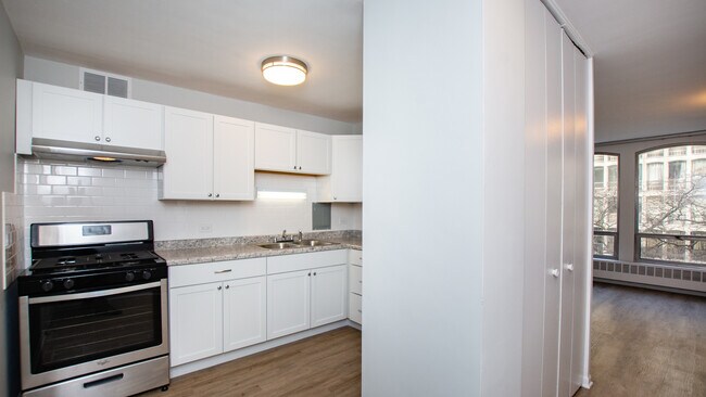 1401 E 55th St Unit 305n, Chicago, IL 60615 - Condo for Rent in Chicago ...