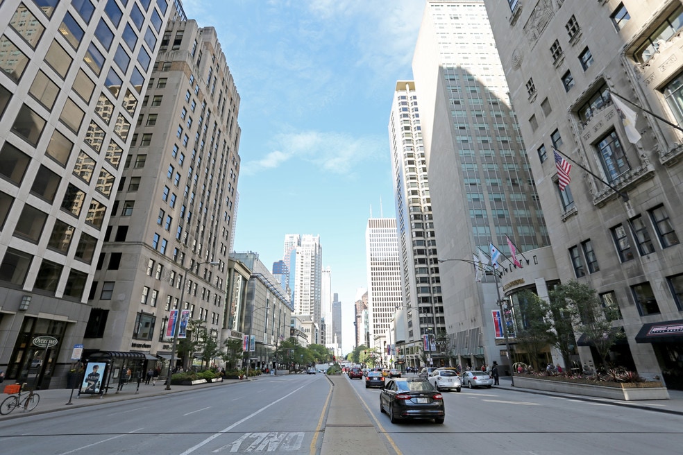 Is Streeterville a Good Place To Live in Chicago IL? - Neighborhood ...