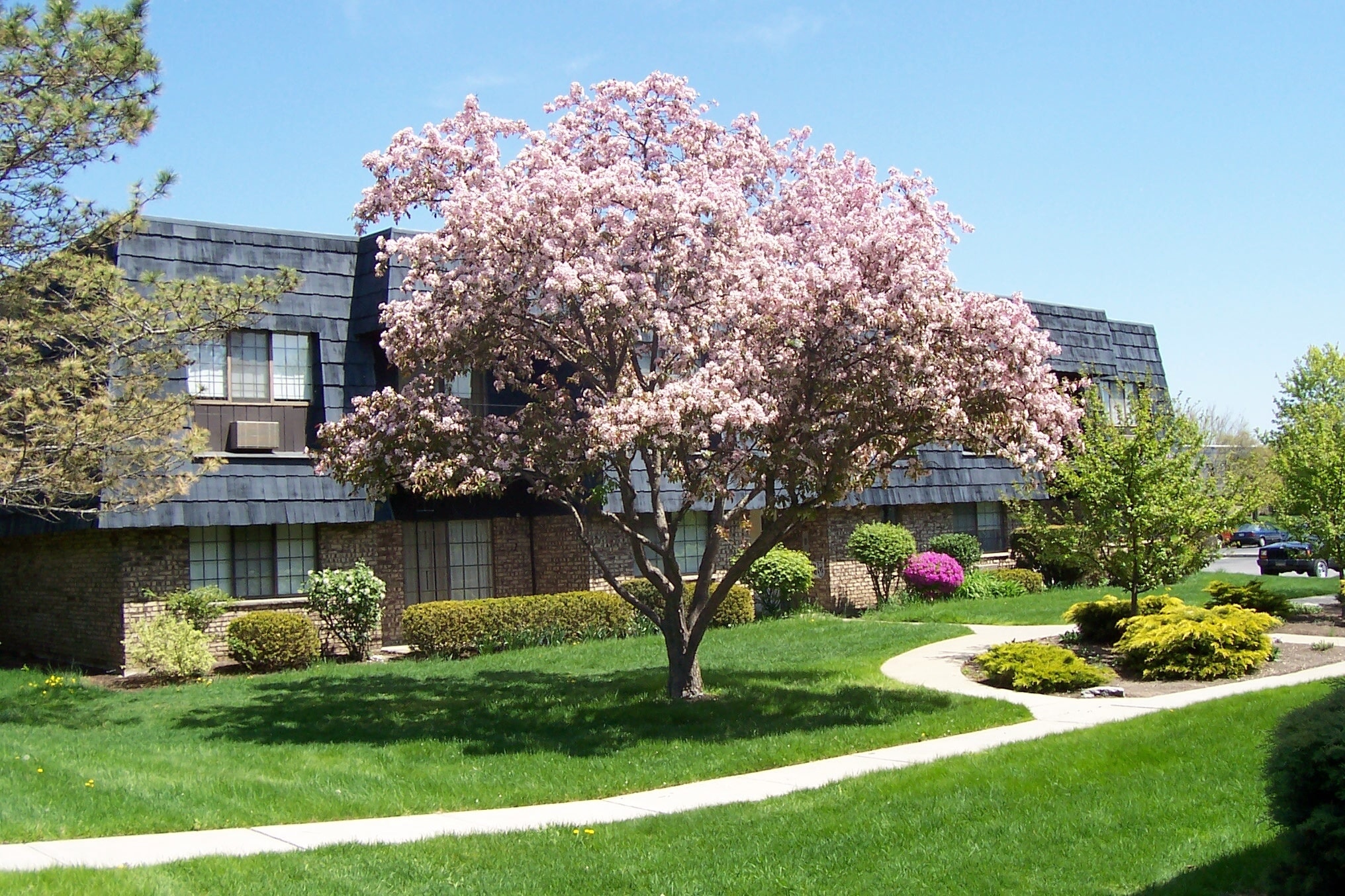 Bethlehem Terrace Apartments - 47 Meadowbrook Dr Slingerlands, NY 12159 ...