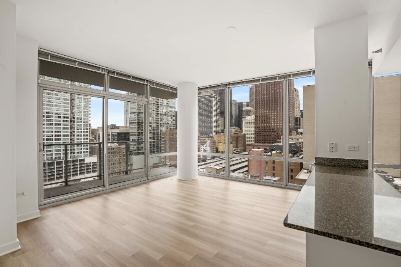 730 S Federal St, Chicago, IL 60605 | Apartments.com