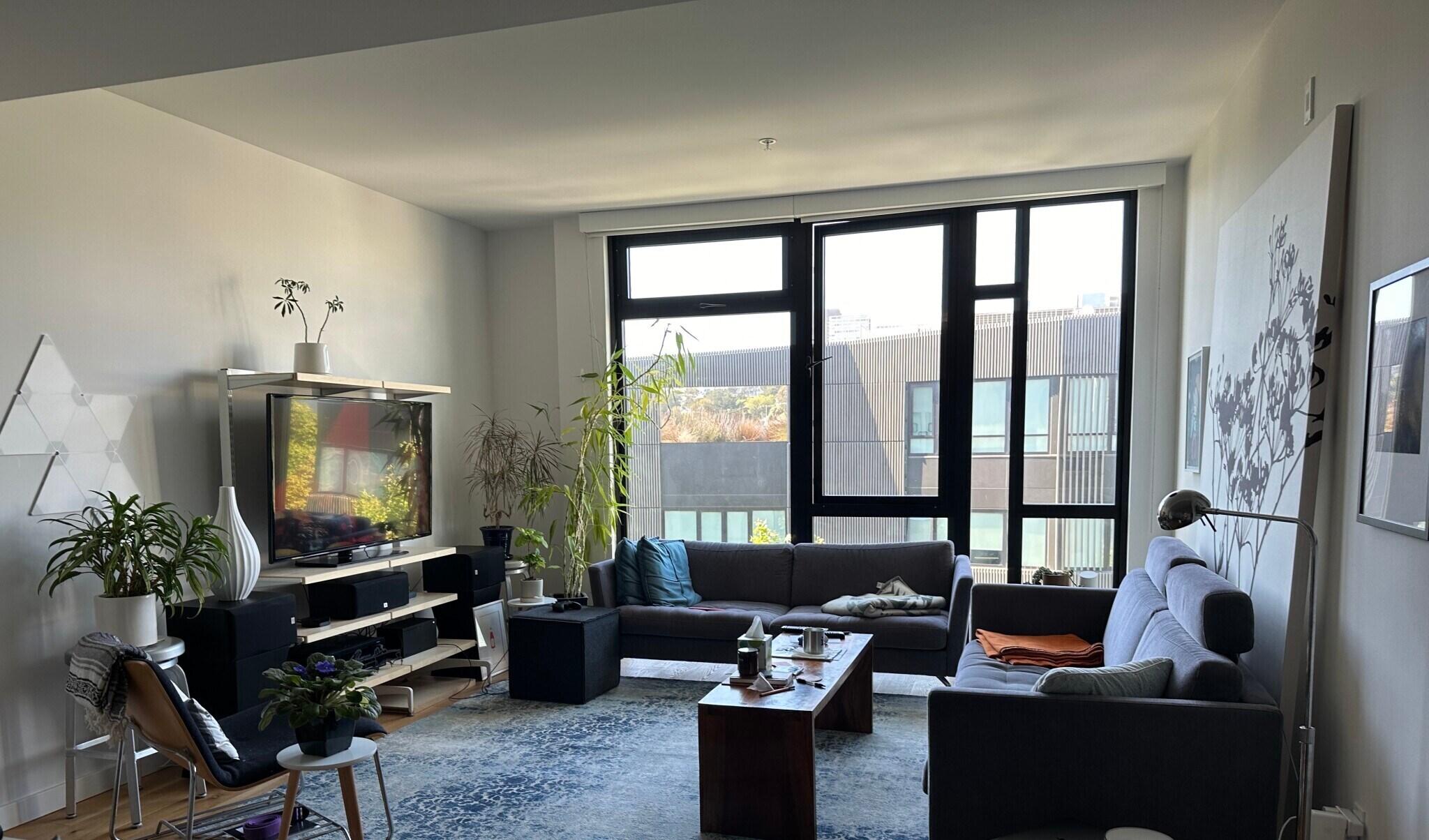 300 Ivy St Unit 507, San Francisco, CA 94102 - Condo for Rent in San ...