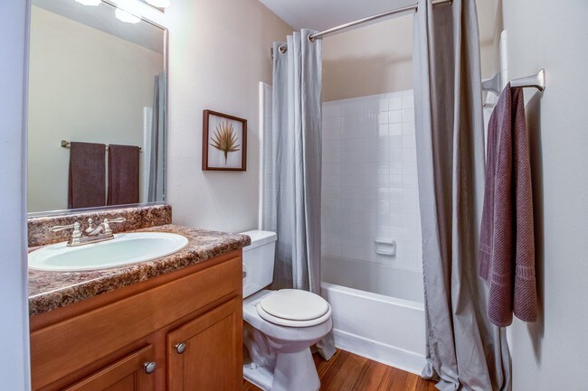 Solis at Winter Park Rentals - Winter Park, FL | Apartments.com