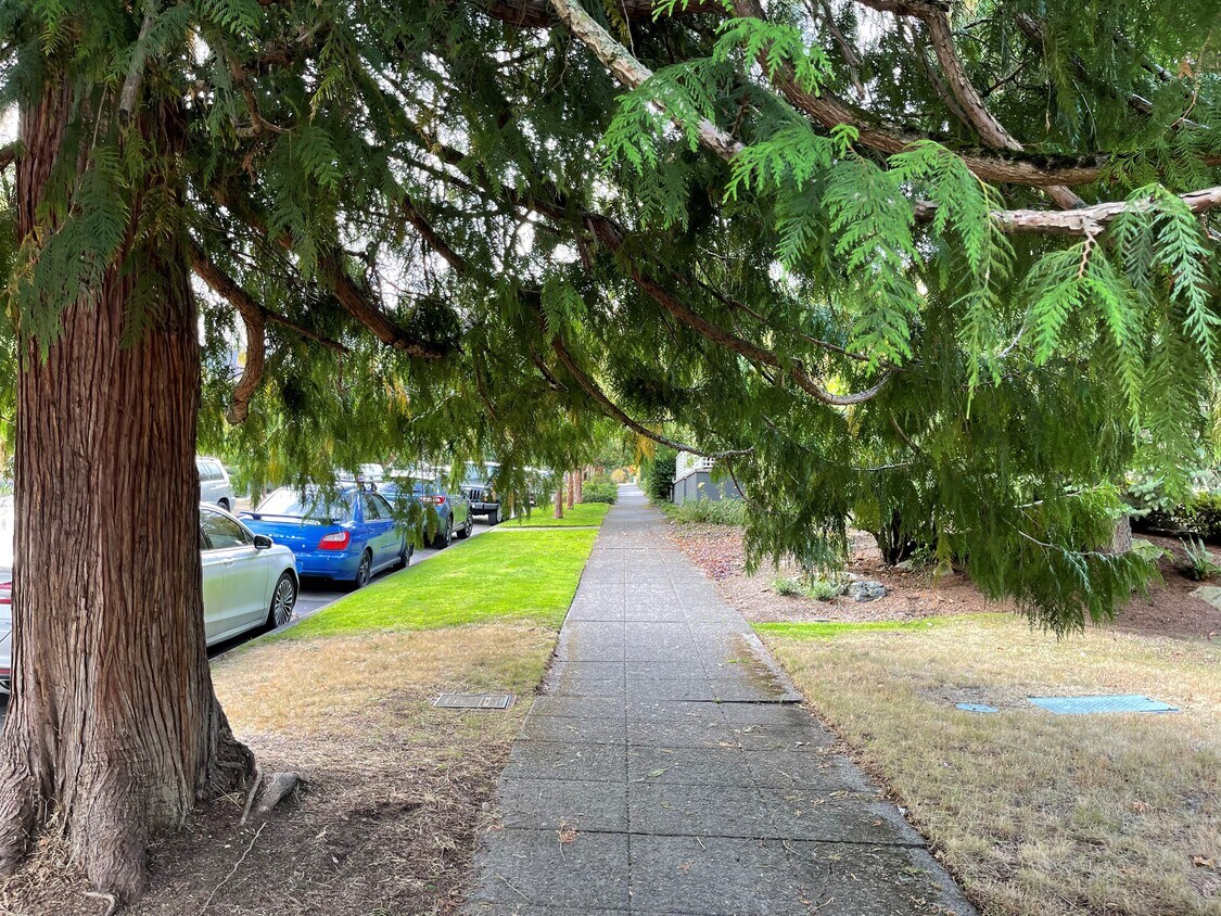 2419 1st Ave W, Seattle, WA 98119 - House Rental in Seattle, WA ...