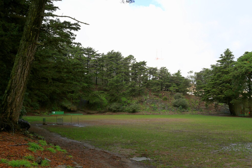 Noe Valley - San Francisco, CA: Neighborhood Guide | Apartments.com