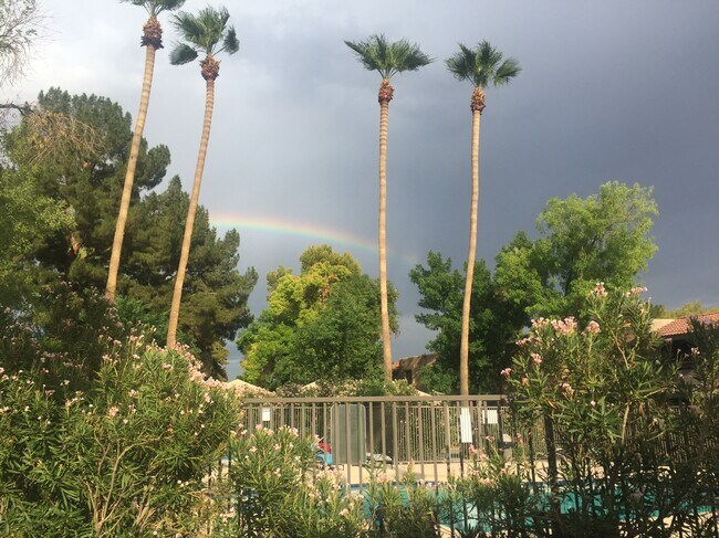 Shadow Ridge Apartments - Apartments in Scottsdale, AZ | Apartments.com