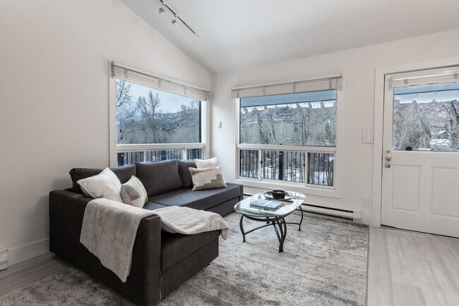 1 Bedroom Apartments for Rent in Aspen Historic District, Aspen ...