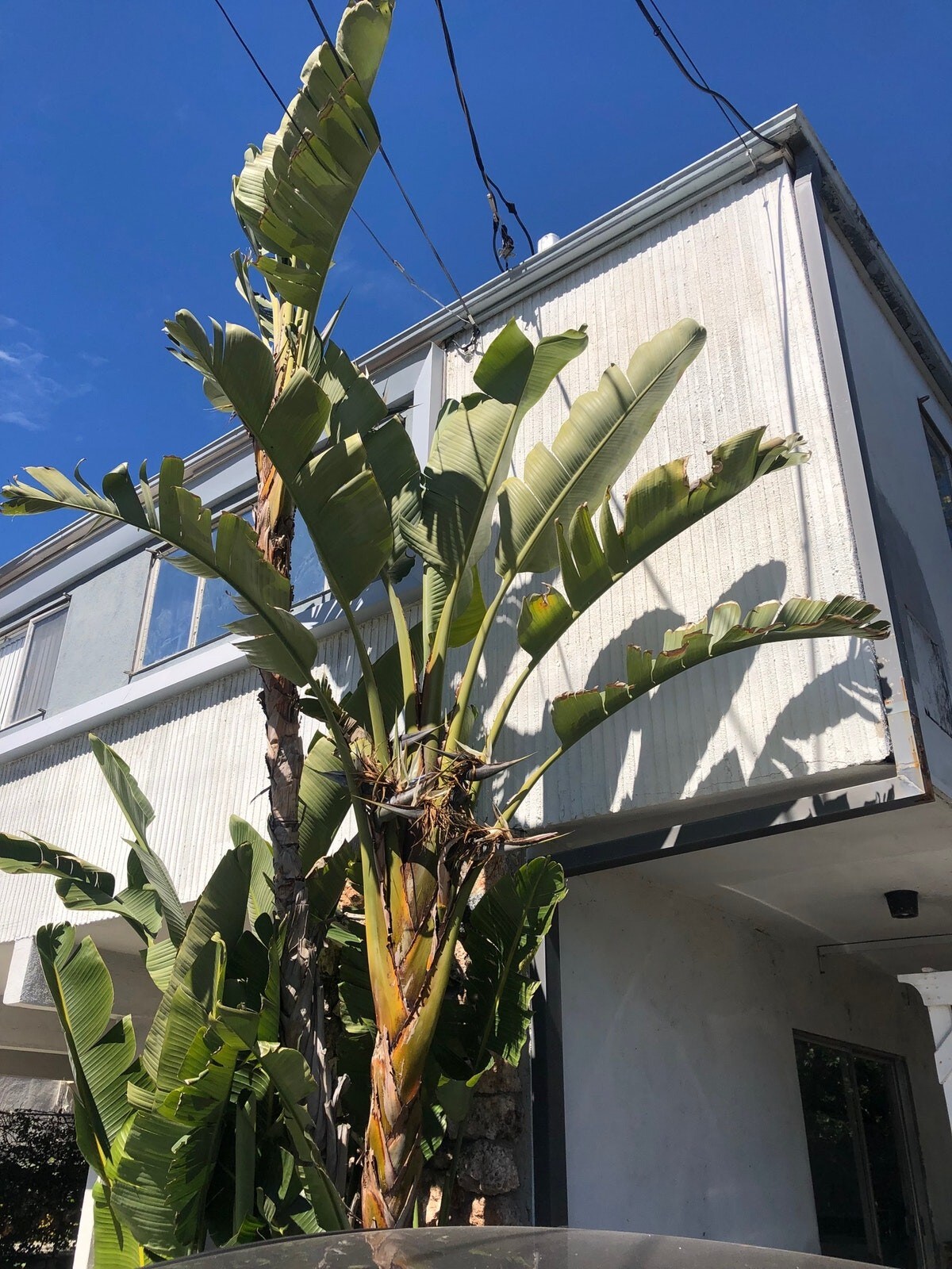 13527 Rye St, Los Angeles, CA 91423 - Condo for Rent in Los Angeles, CA ...