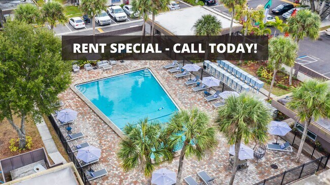 Village of Tampa Apartments for Rent with Hardwood Floors - Tampa, FL ...