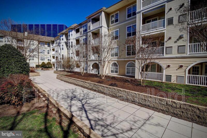 4551 Strutfield Ln Unit Apt 4204, Alexandria, VA 22311 - Condo for Rent ...