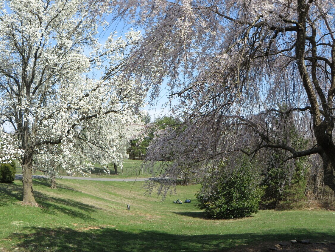 22025 Evergreen Mills Rd Unit Basement Apartment, Leesburg, VA 20175 ...