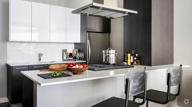 Chicago Loop Apartments for Rent - Chicago, IL - 865 Rentals ...