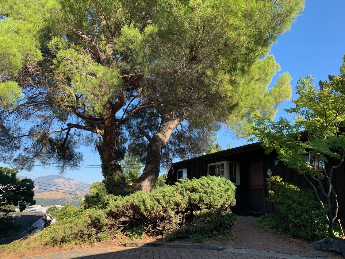 41 Midvale Ct, Walnut Creek, CA 94597 - House Rental in Walnut Creek ...