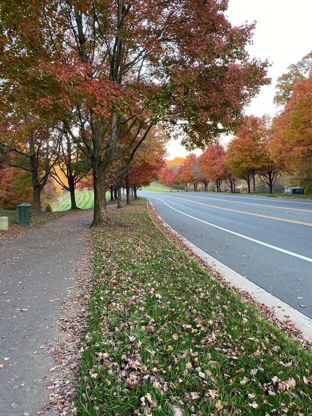 6516 Osprey Point Ln, Alexandria, VA 22315 - Townhome Rentals in ...