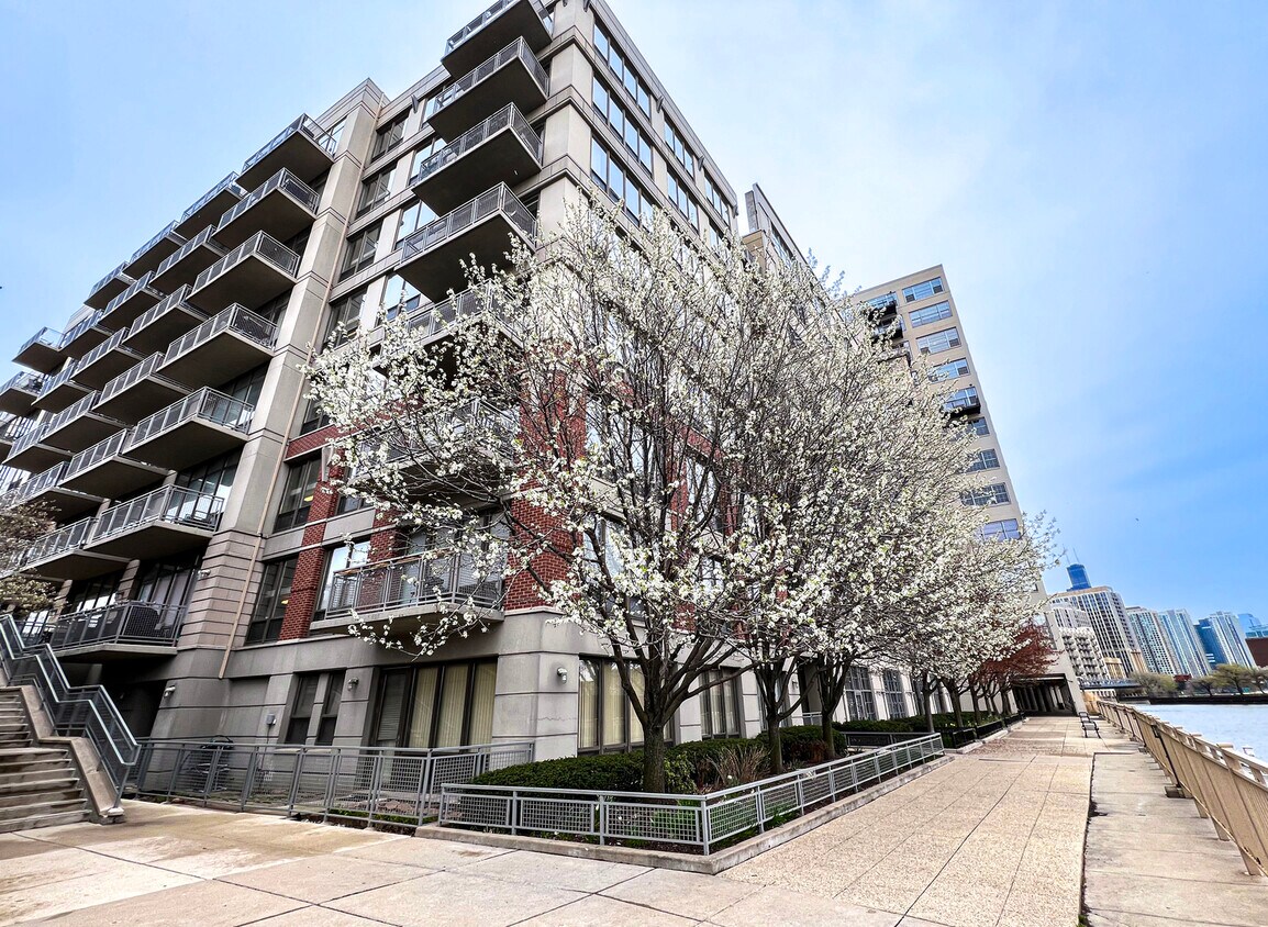 1000 N Kingsbury St Unit 102, Chicago, IL 60610 - Condo for Rent in ...