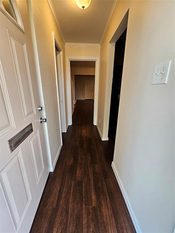 1809 Saxony Ln, Houston, TX 77058 - Condo for Rent in Houston, TX ...