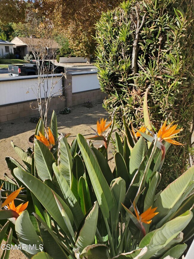 5102 CA-27, Los Angeles, CA 91364 - Townhome Rentals in Los Angeles CA ...