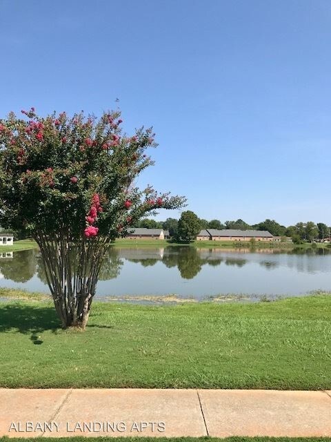 Albany Landing Apartments Apartments - Decatur, AL | Apartments.com
