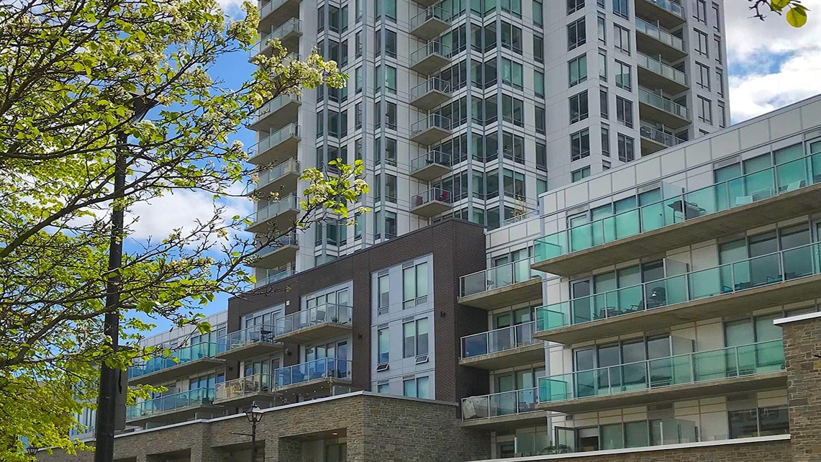 The Alexander Apartments - 5121 Bishop St Halifax, NS | Apartments.com