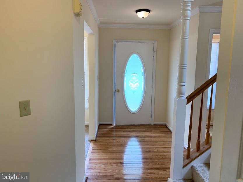 4205 Manette Dr, Fredericksburg, VA 22408 - House Rental in ...