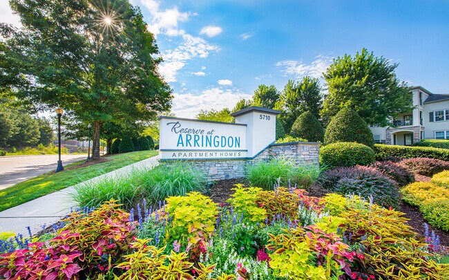 MAA Arringdon - Apartments in Morrisville, NC | Apartments.com