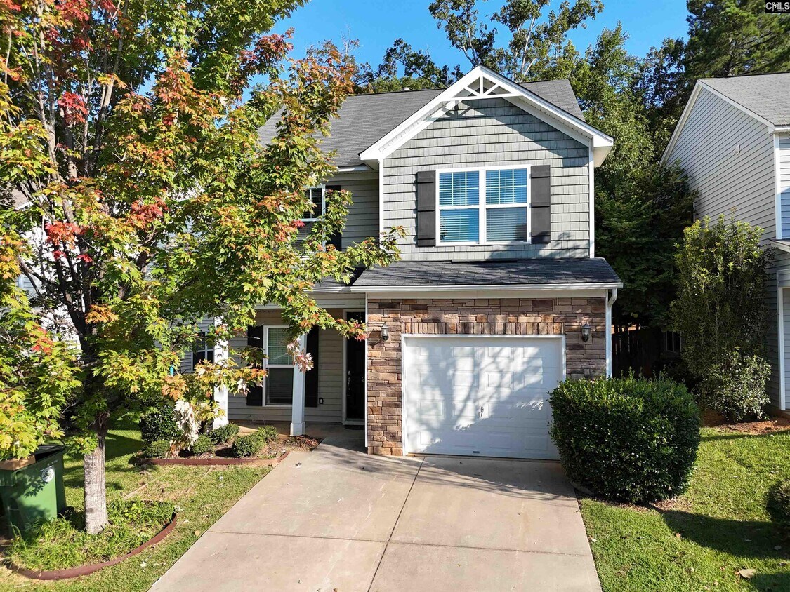 217 Jackstay Ct, Chapin, SC 29036 - House Rental in Chapin, SC ...