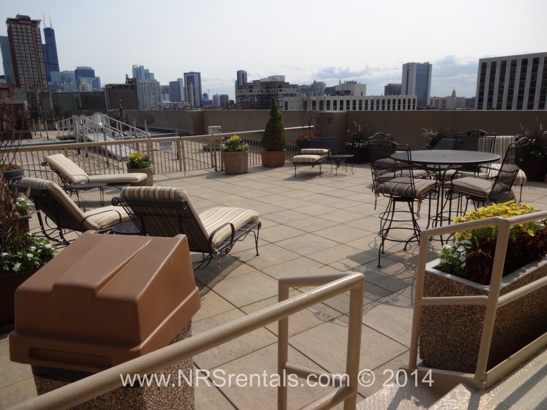 111 W Maple St Unit 807, Chicago, IL 60610 - Condo for Rent in Chicago ...