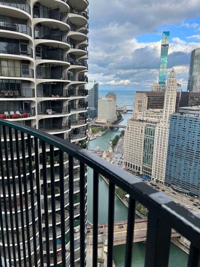 300 N State St Unit 5008, Chicago, IL 60654 - Condo for Rent in Chicago ...