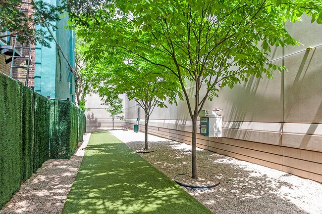 2116 Chestnut Apartments - Philadelphia, PA | Apartments.com