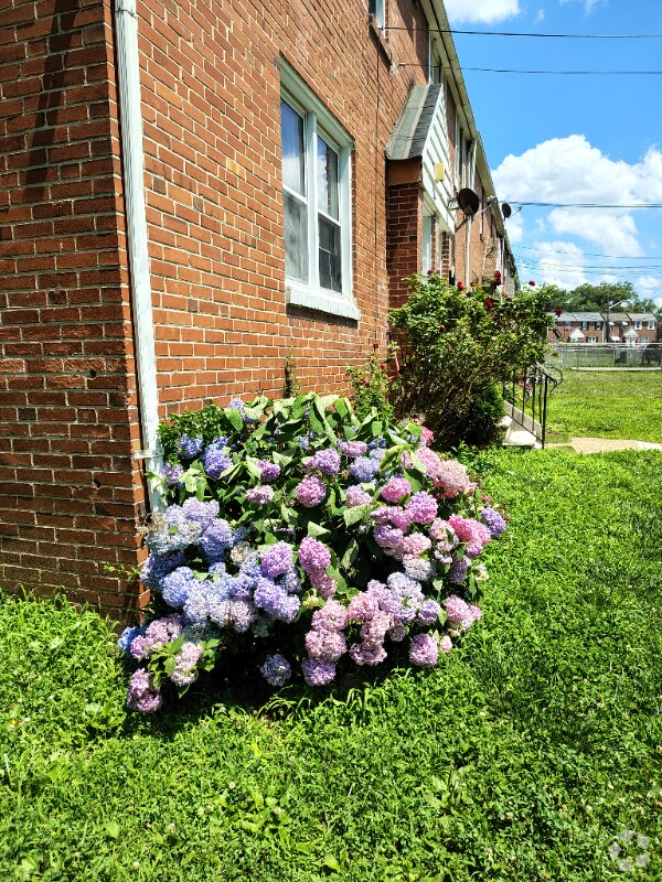 Canby Park Estates Historic District Apartments for Rent - Wilmington ...