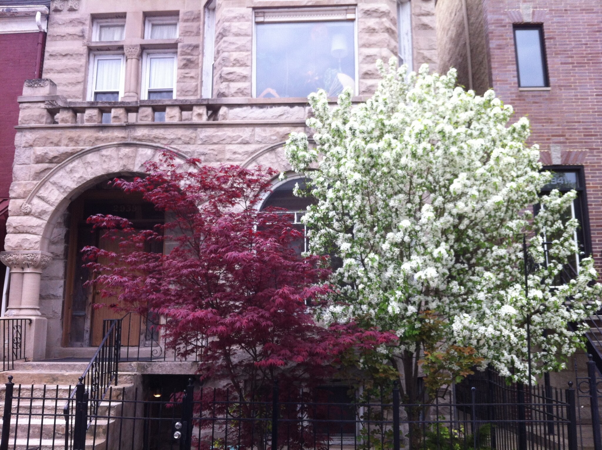 2939 W Warren Blvd Unit Floor 1, Chicago, IL 60612 - Condo for Rent in ...