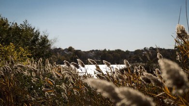 Modera Medford Rentals - Medford, MA | Apartments.com