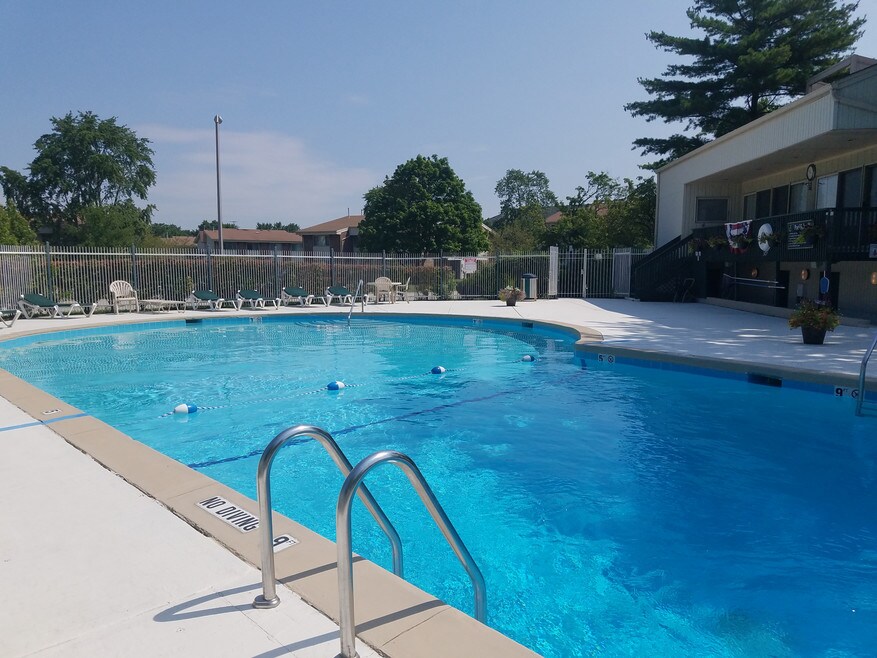 Apartments for Rent with a Swimming Pool Near Apple Tree of Hazelcrest ...