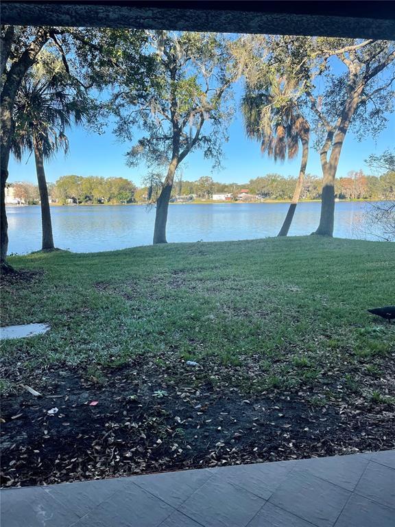 7204 E Bank Dr Unit 7204, Tampa, FL 33617 - Condo for Rent in Tampa, FL ...