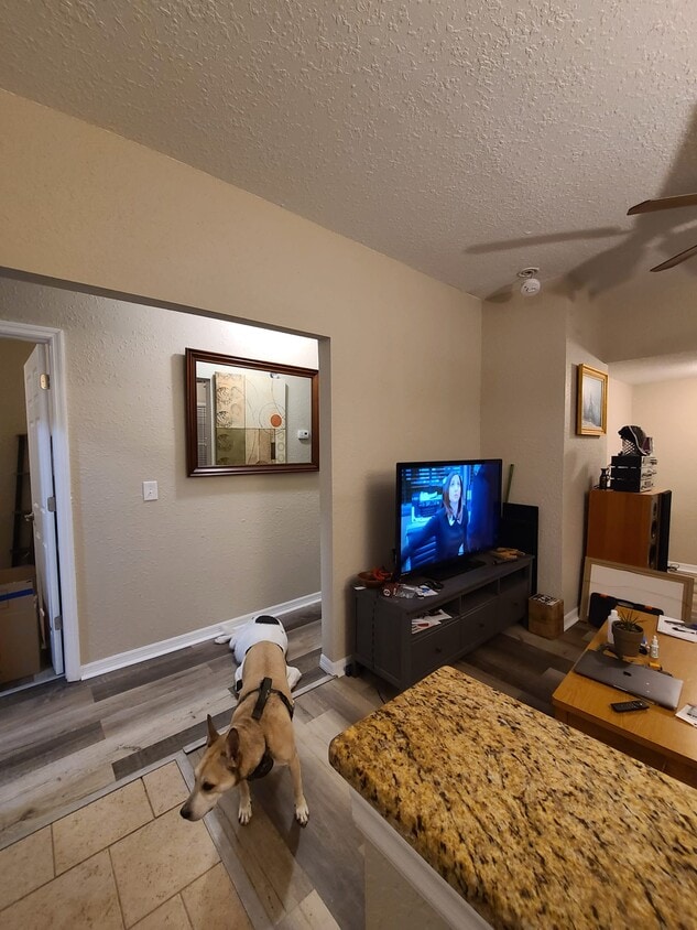 601 W Warren Ave Unit 601 W Warren Apartment, Tampa, FL 33602 - 601 W ...
