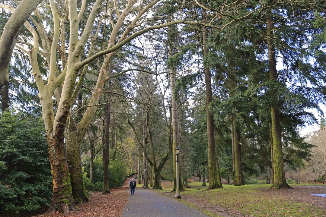 Is Kerns a Good Place To Live in Portland OR? - Neighborhood Guide by ...